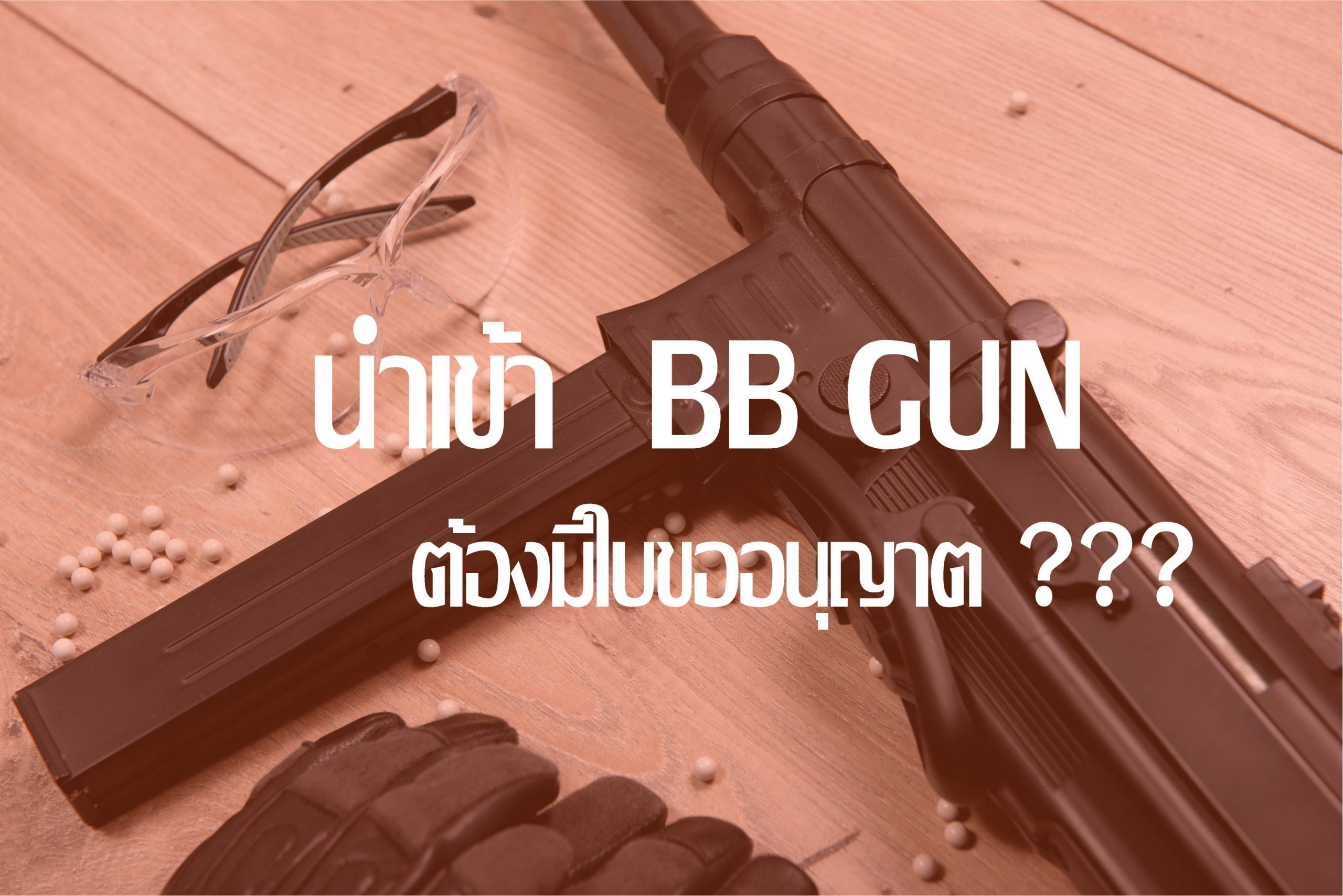 Logistics Corner 740 การนำเข้า BB Gun - SNP GROUP OF COMPANIES