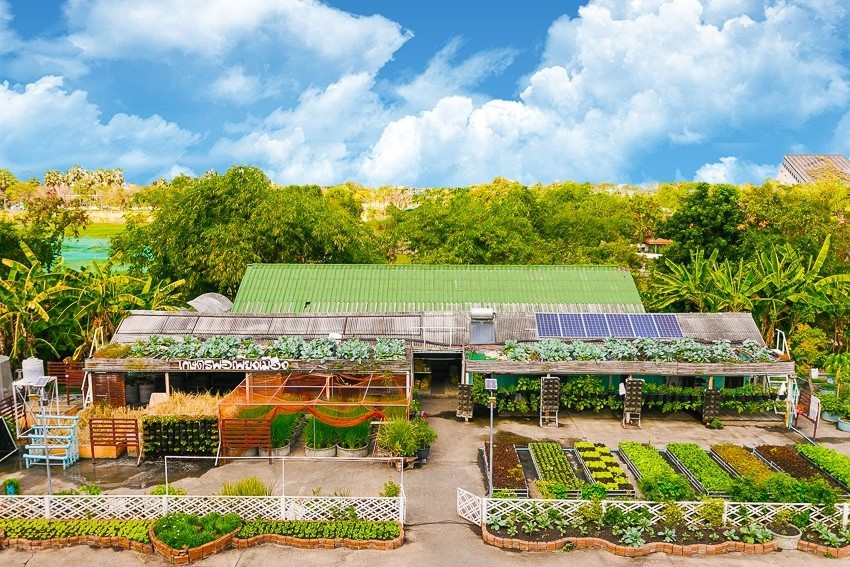 Logistics Corner 827 พอเพียง - SNP GROUP OF COMPANIES